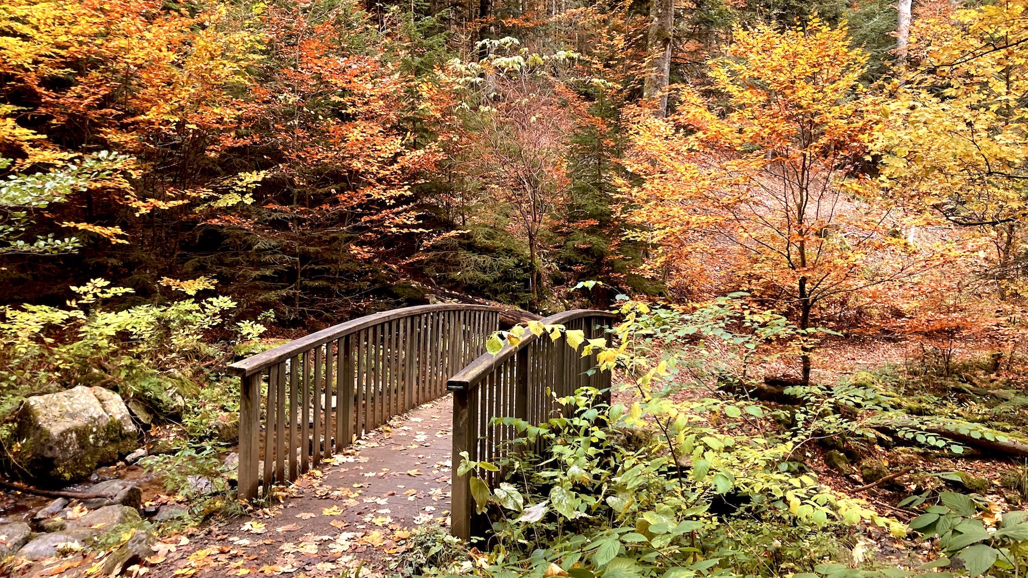 Hiking in Le Hohwald, Alsace – Strafari