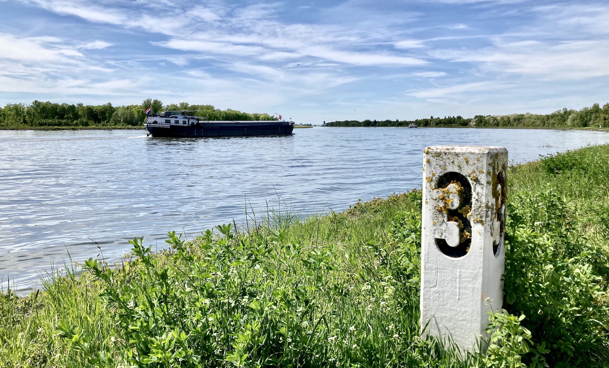 A walk in the forest and along the Rhine: La Wantzenau – Strafari